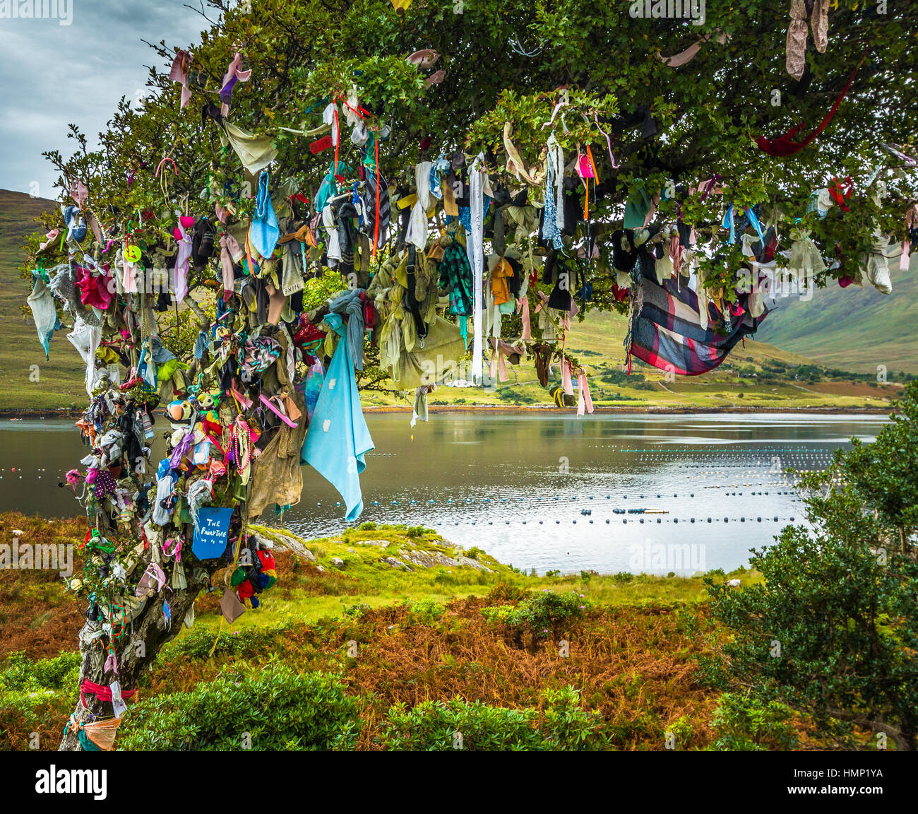 Irish fairy hi-res stock photography and images - Alamy