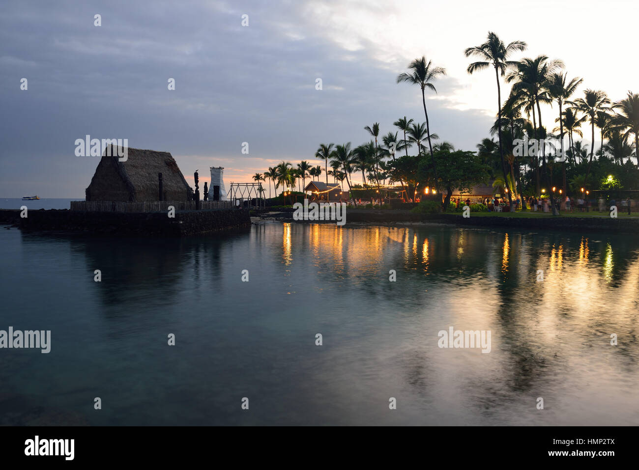 Hawaii Beach Party Night