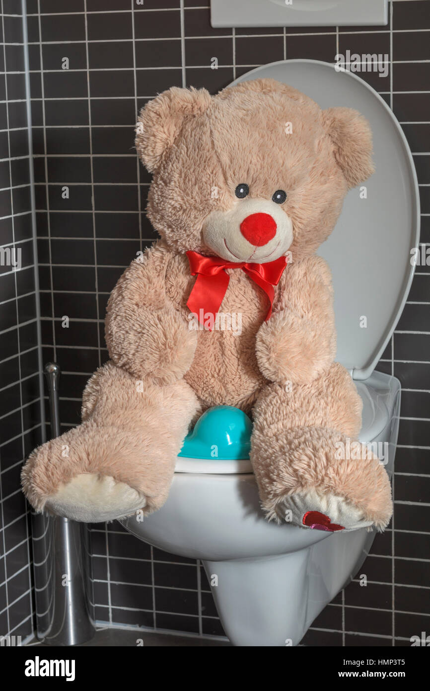 Toy teddy bear sitting on WC toilet bowl in bathroom, early childhood ...