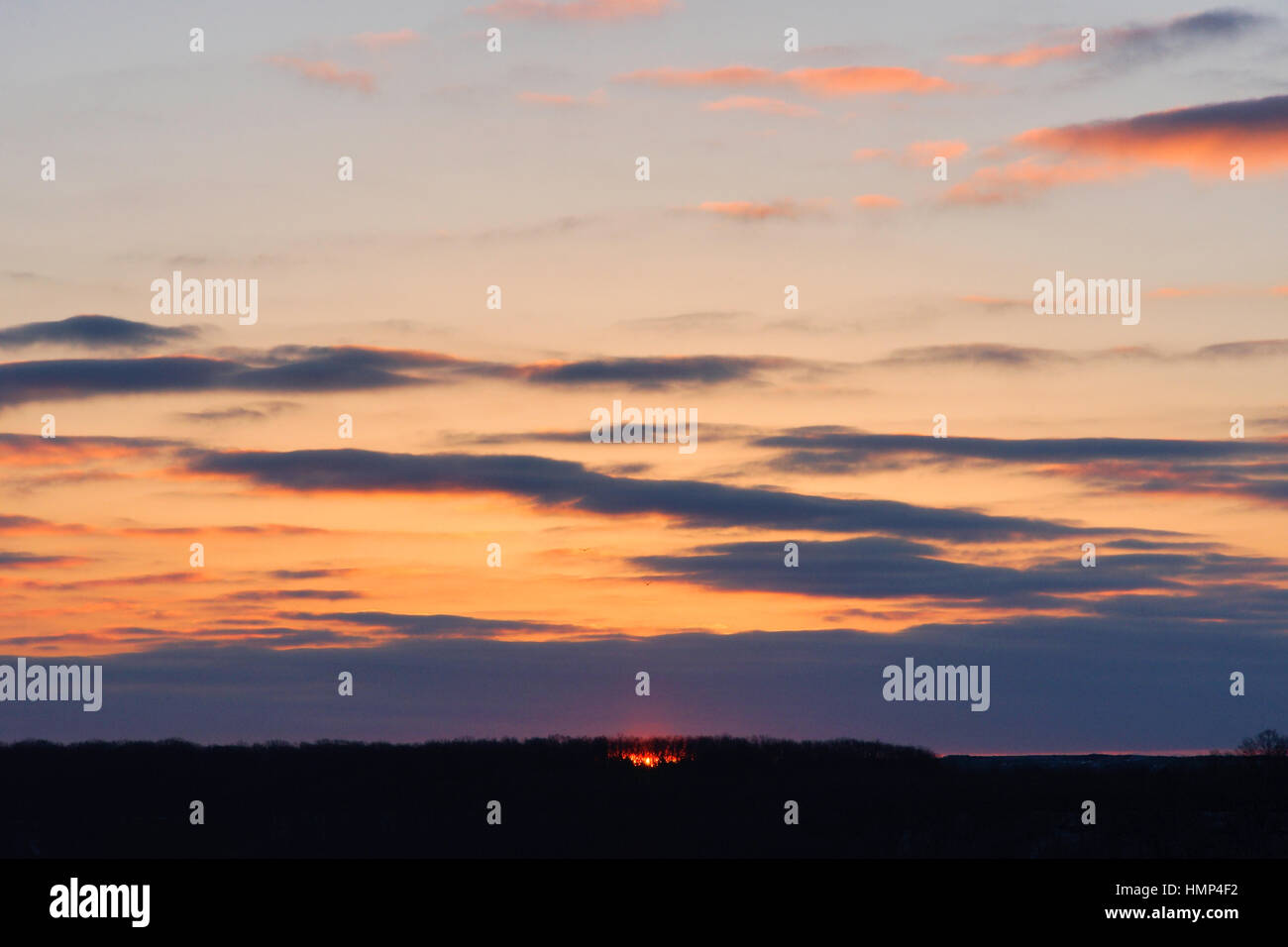 Fiery red sun peeking through trees on the horizon at sunrise, golden ...