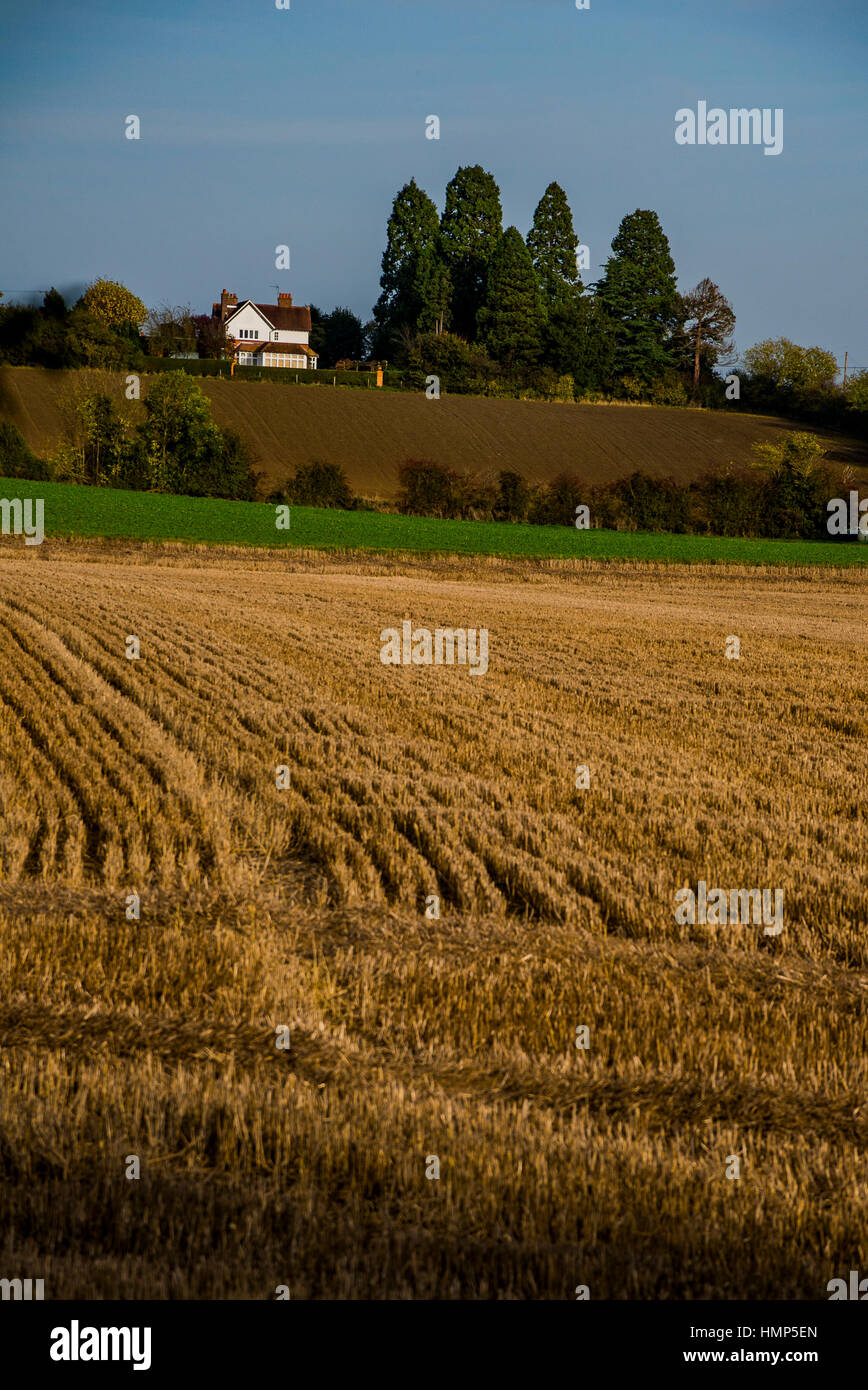 generic english farmland Stock Photo - Alamy