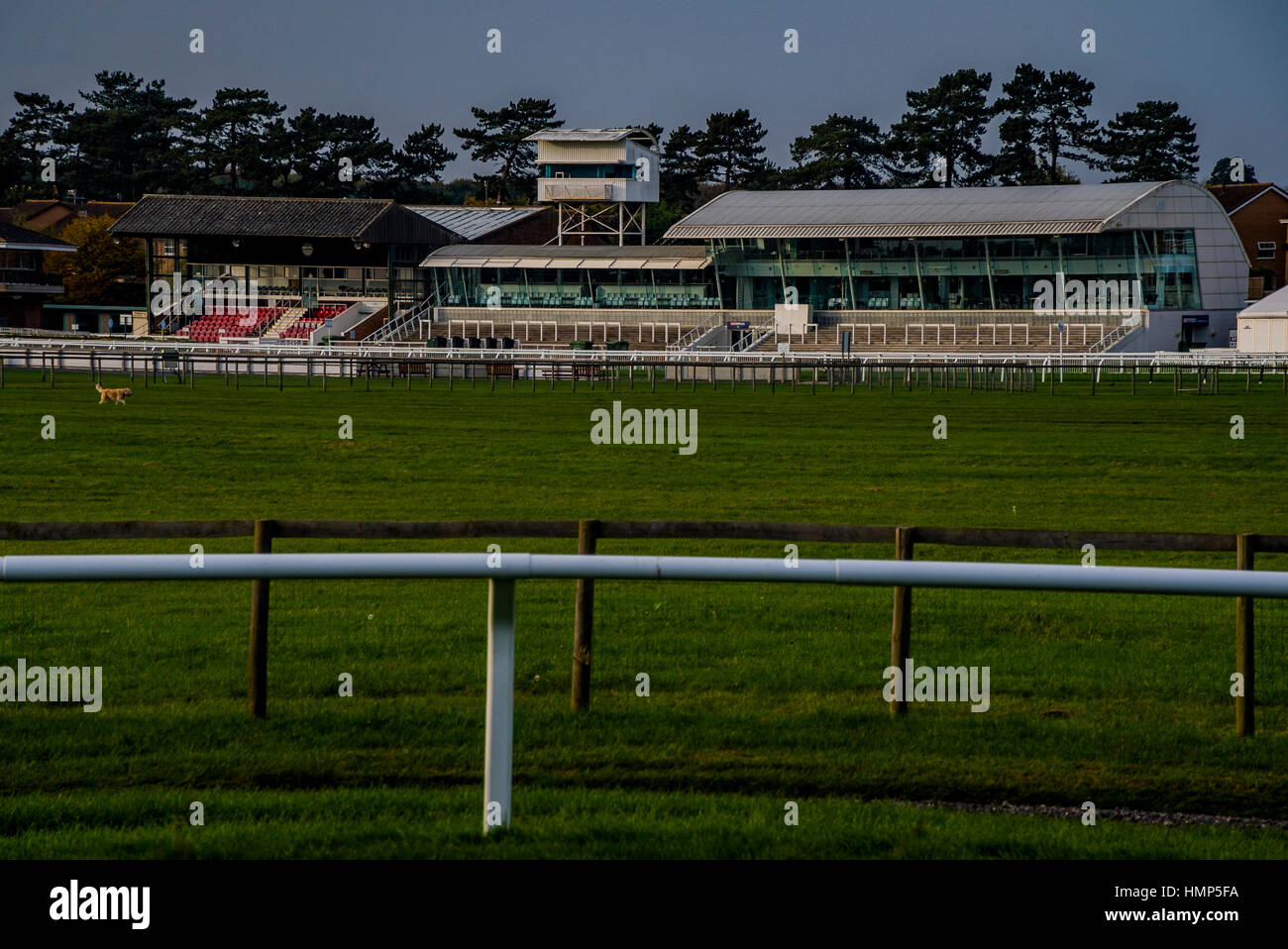 Stratford race course hi-res stock photography and images - Alamy