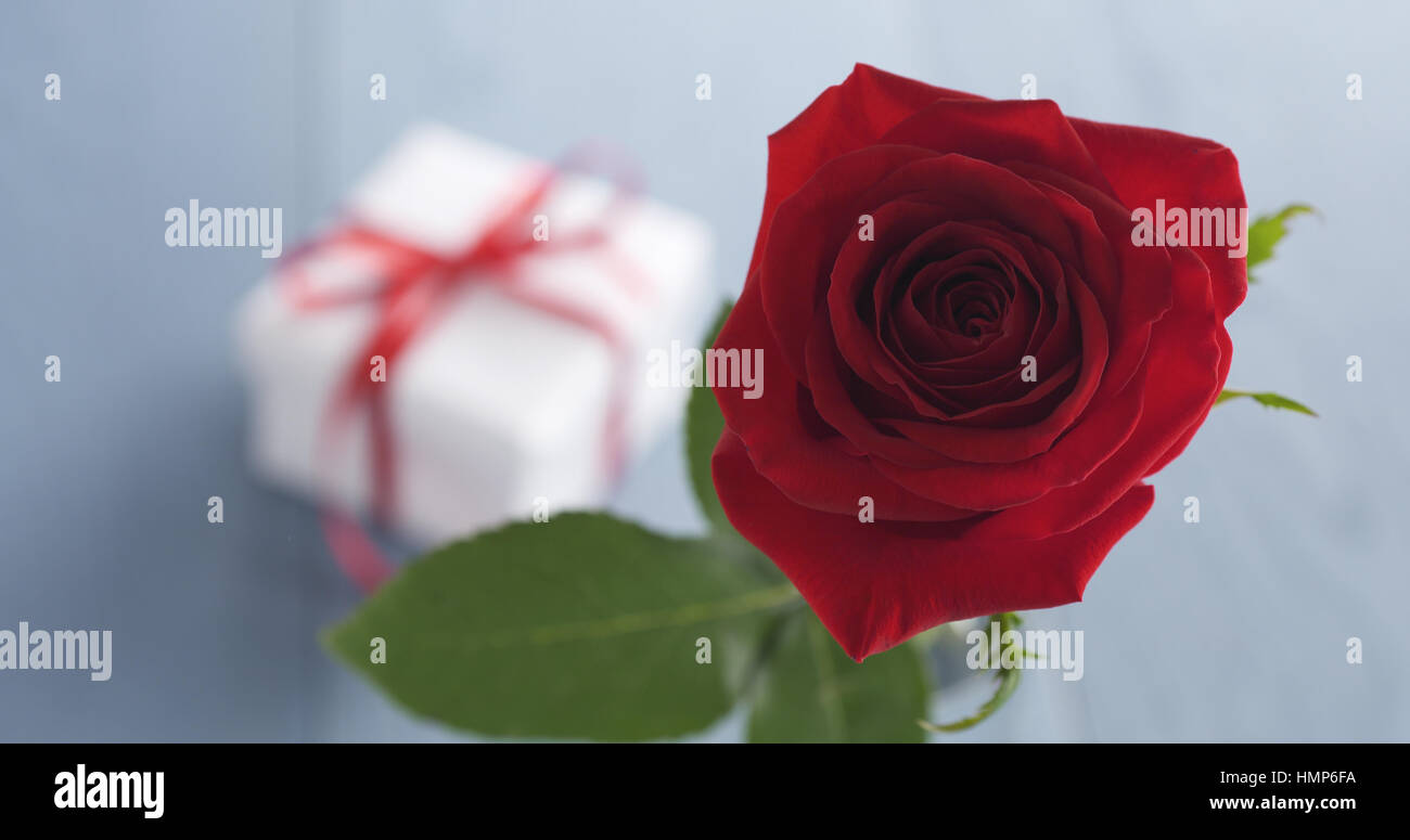 single red rose in glass with gift box on blue wood table Stock Photo ...