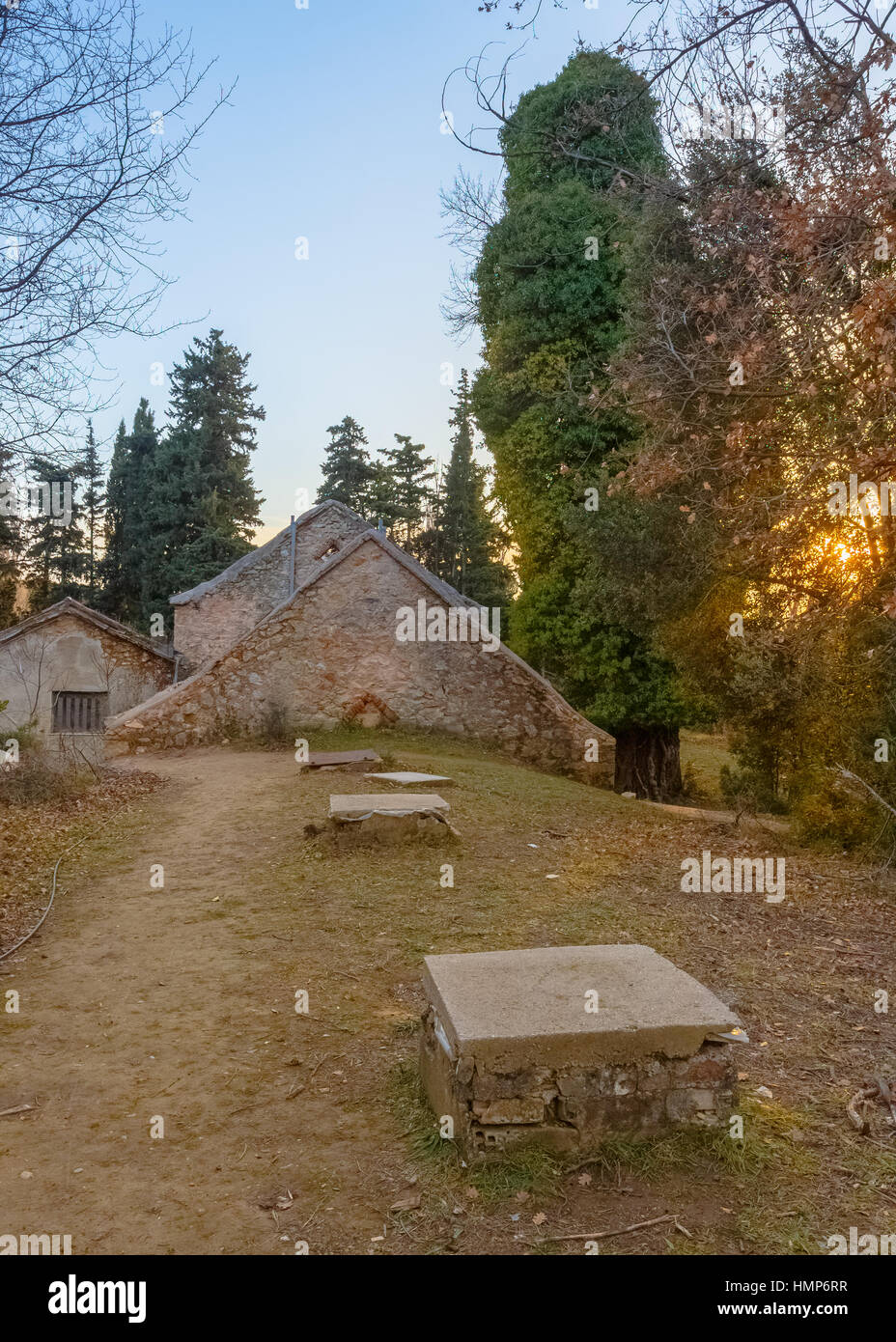 Tatoi Palace ruins in Greece, the summer palace and 10,000 acre estate ...