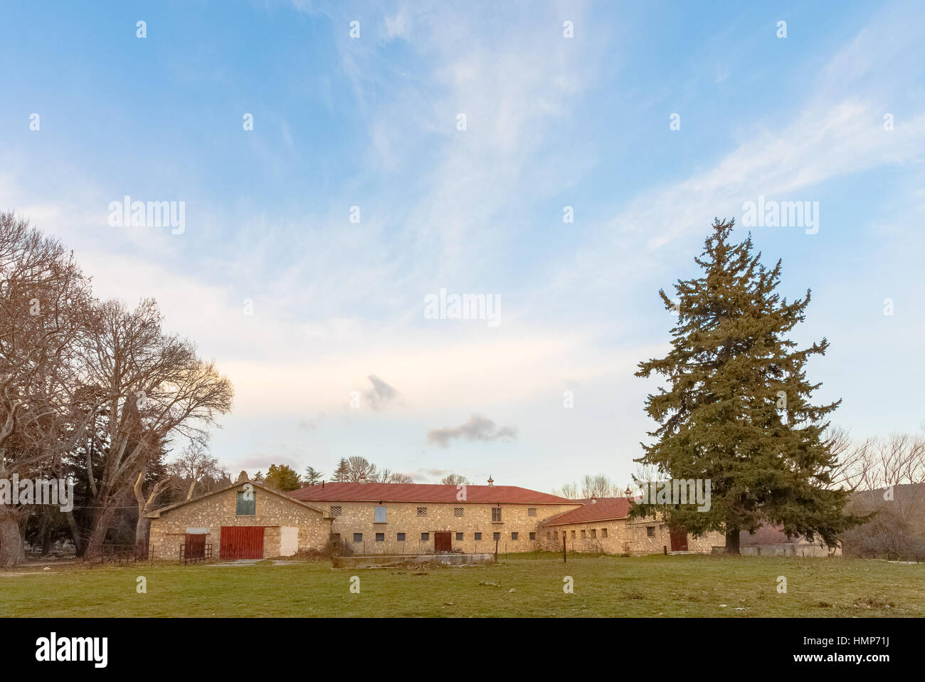 Tatoi Palace ruins in Greece, the summer palace and 10,000 acre estate ...