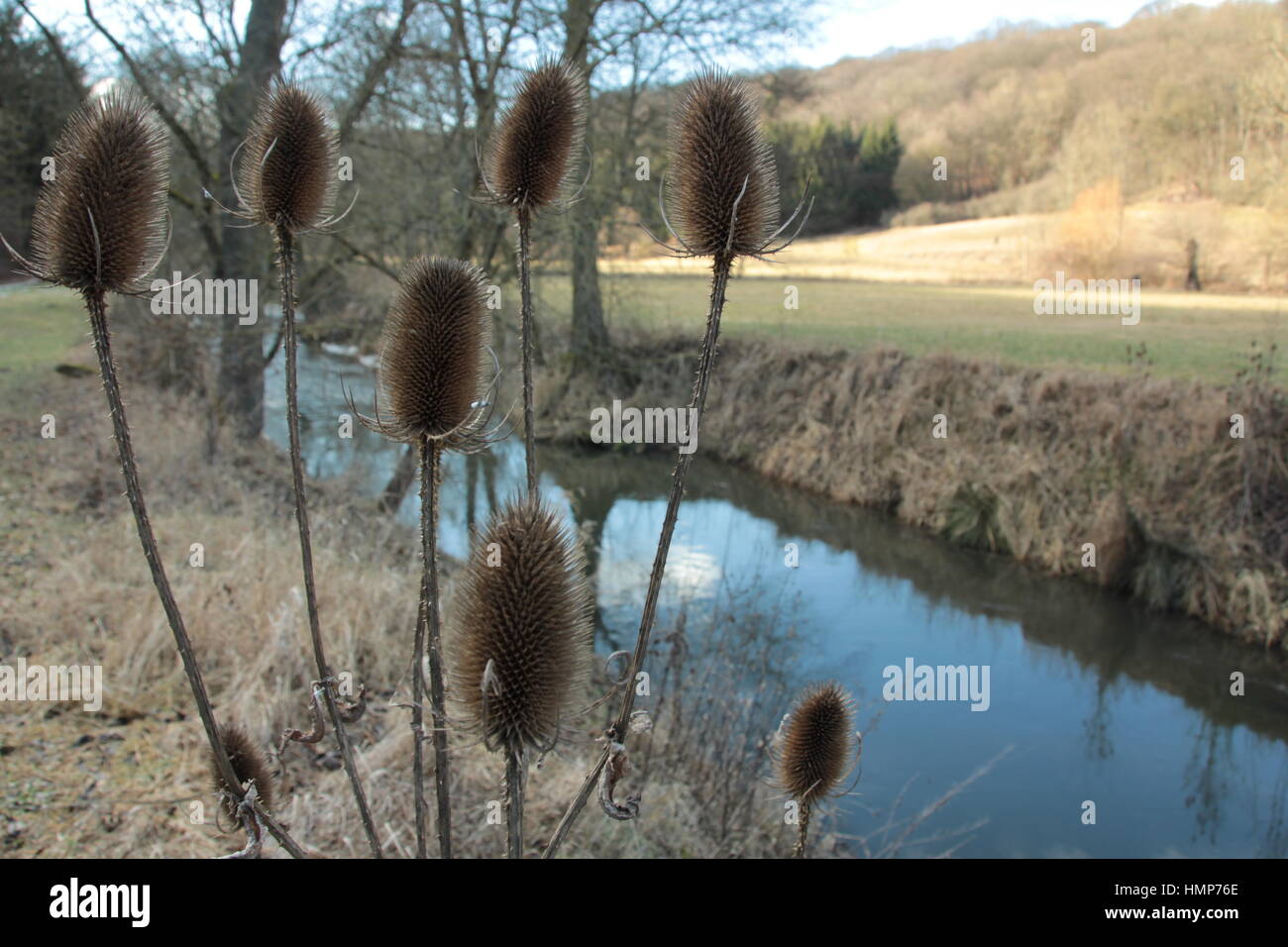 First day in spring Stock Photo - Alamy