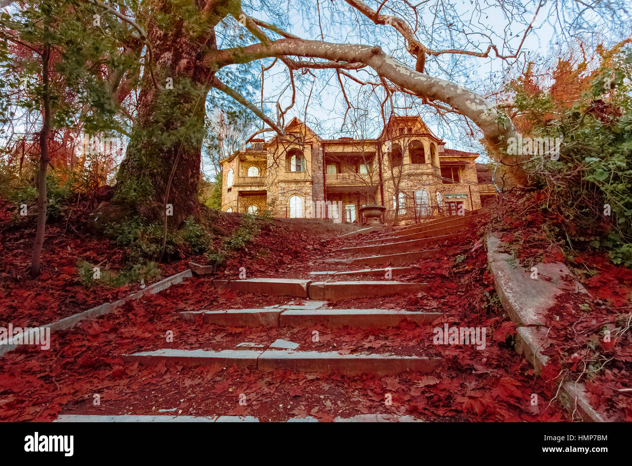 Tatoi Palace ruins in Greece, the summer palace and 10,000 acre estate ...