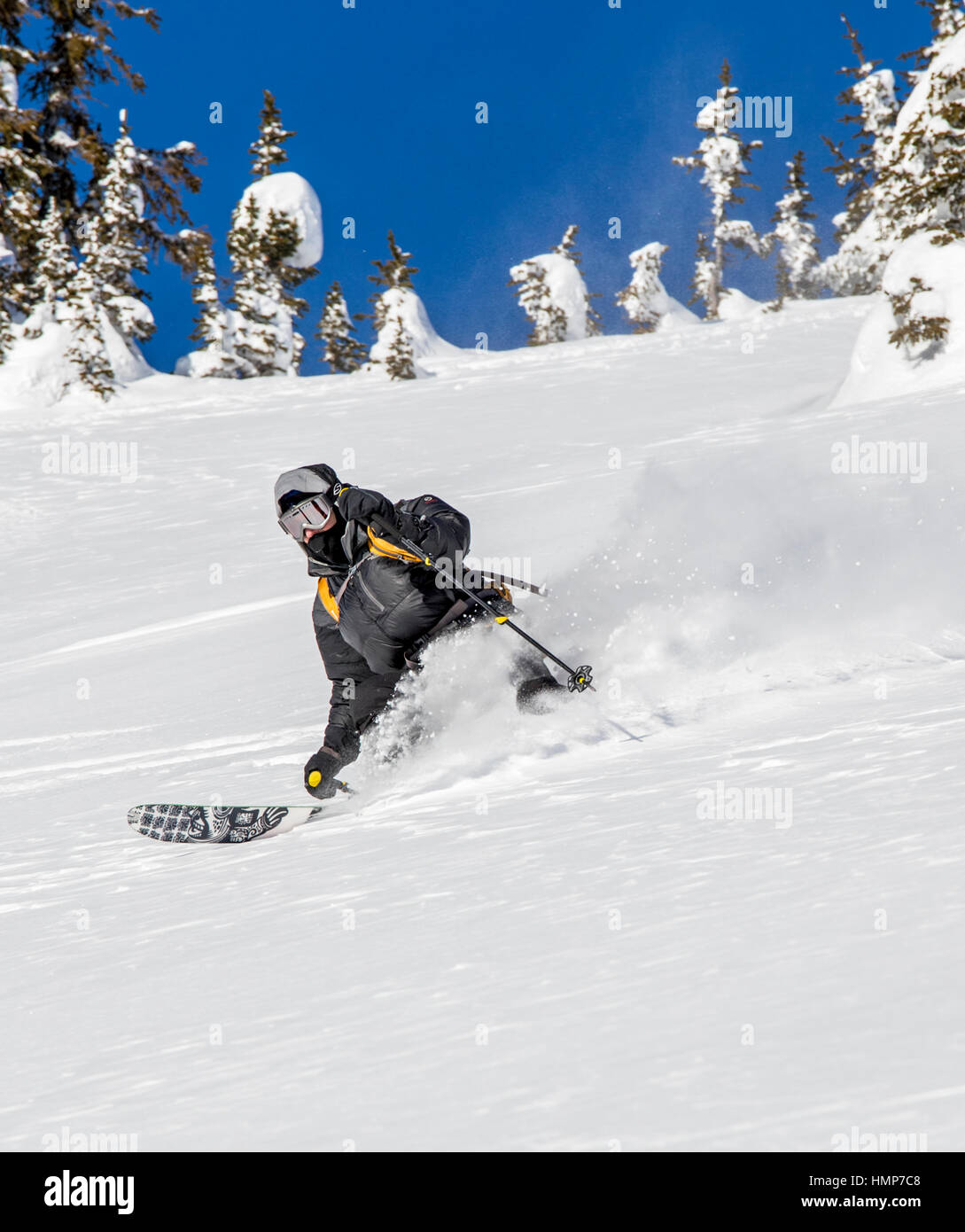 Senior male back country skier in fresh powder; Esplanade Range ...