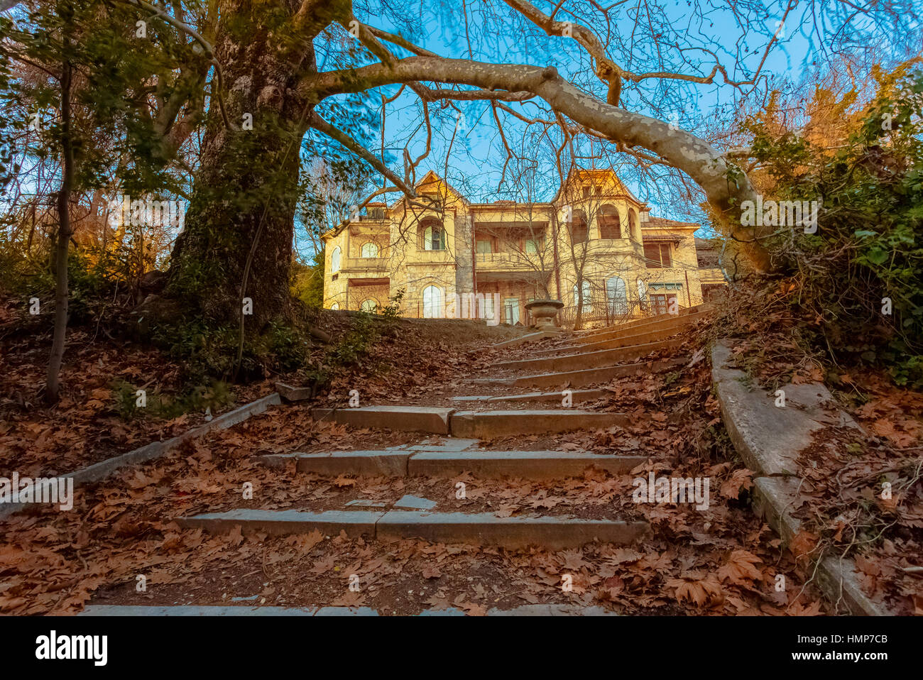 Tatoi Palace ruins in Greece, the summer palace and 10,000 acre estate ...