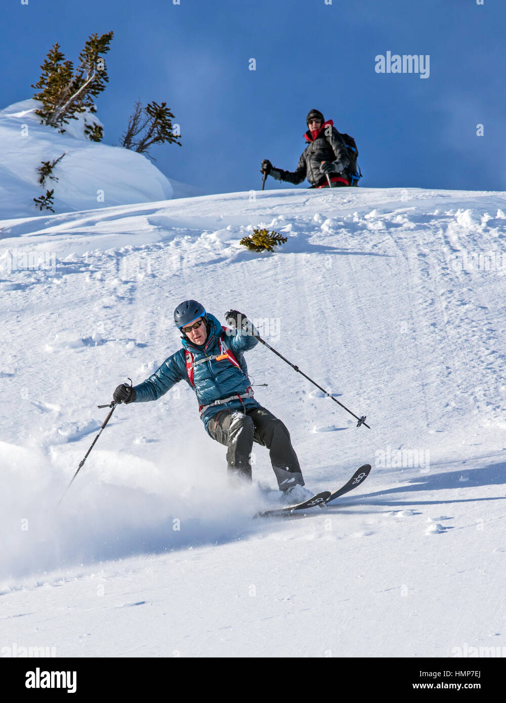 Male back country skier in fresh powder; Esplanade Range; Selkirk ...