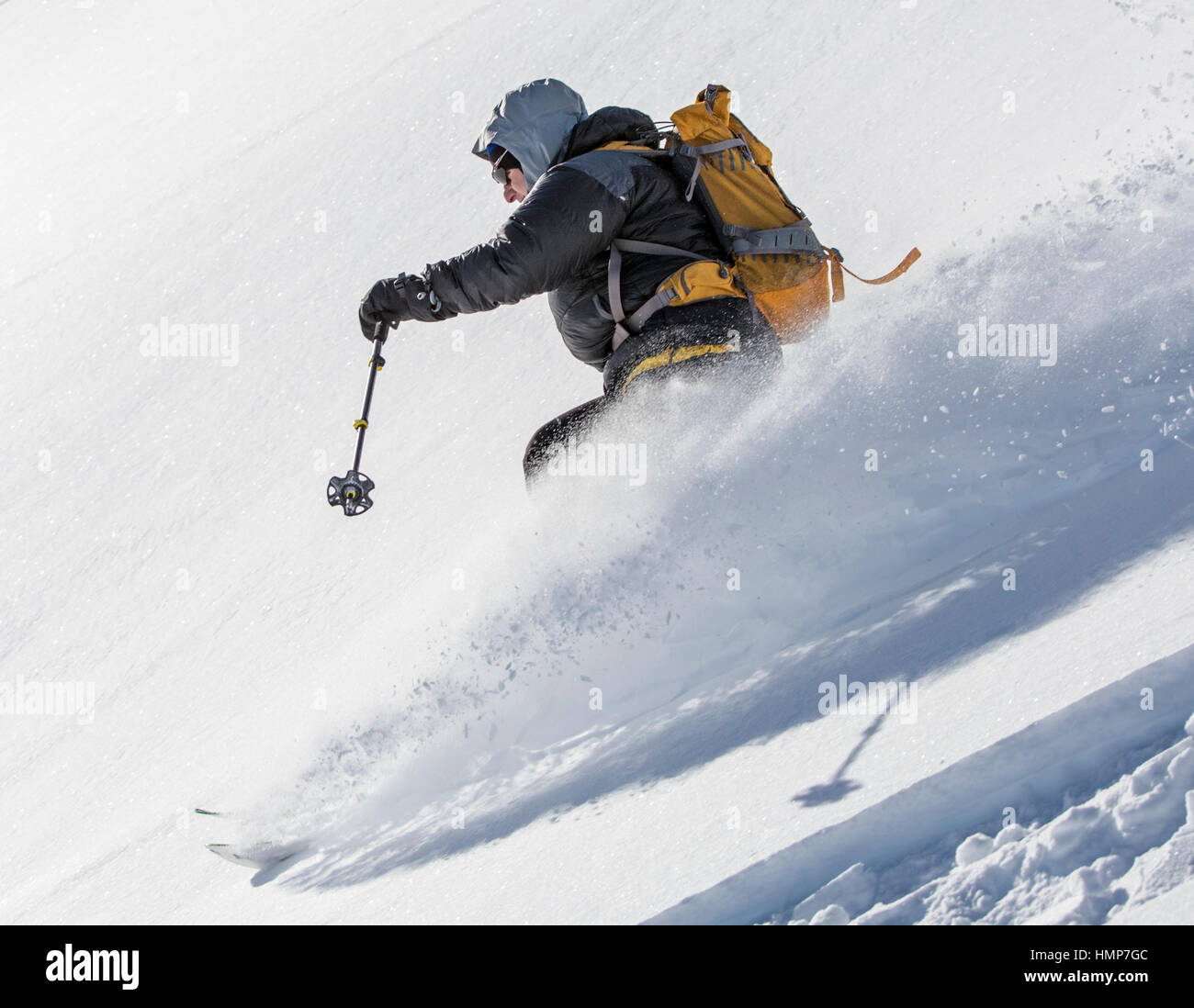 Senior male back country skier in fresh powder; Esplanade Range ...