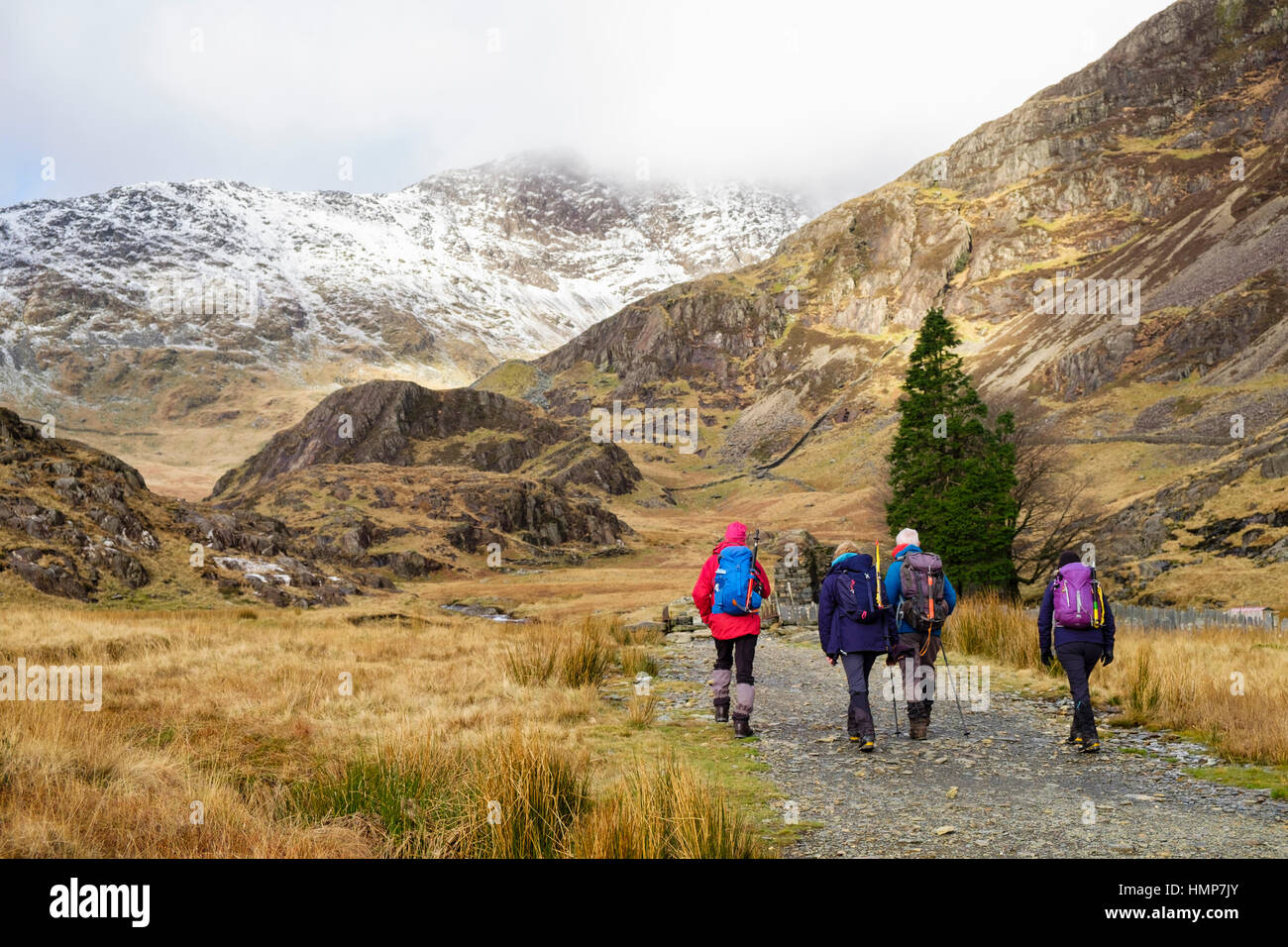 Hikers hiking on Watkin Path route to Snowdon in low cloud in winter ...