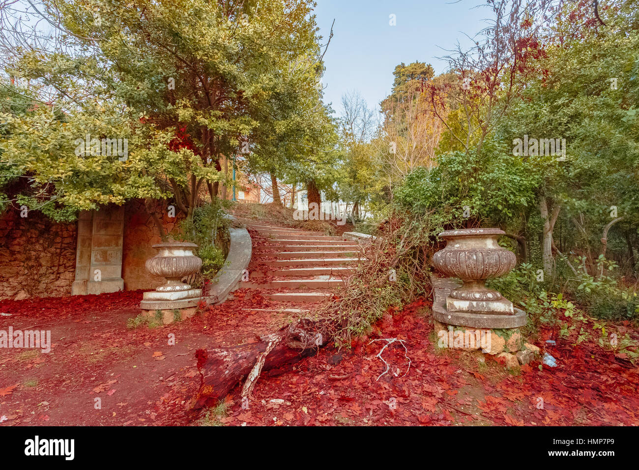 Tatoi Palace ruins in Greece, the summer palace and 10,000 acre estate ...