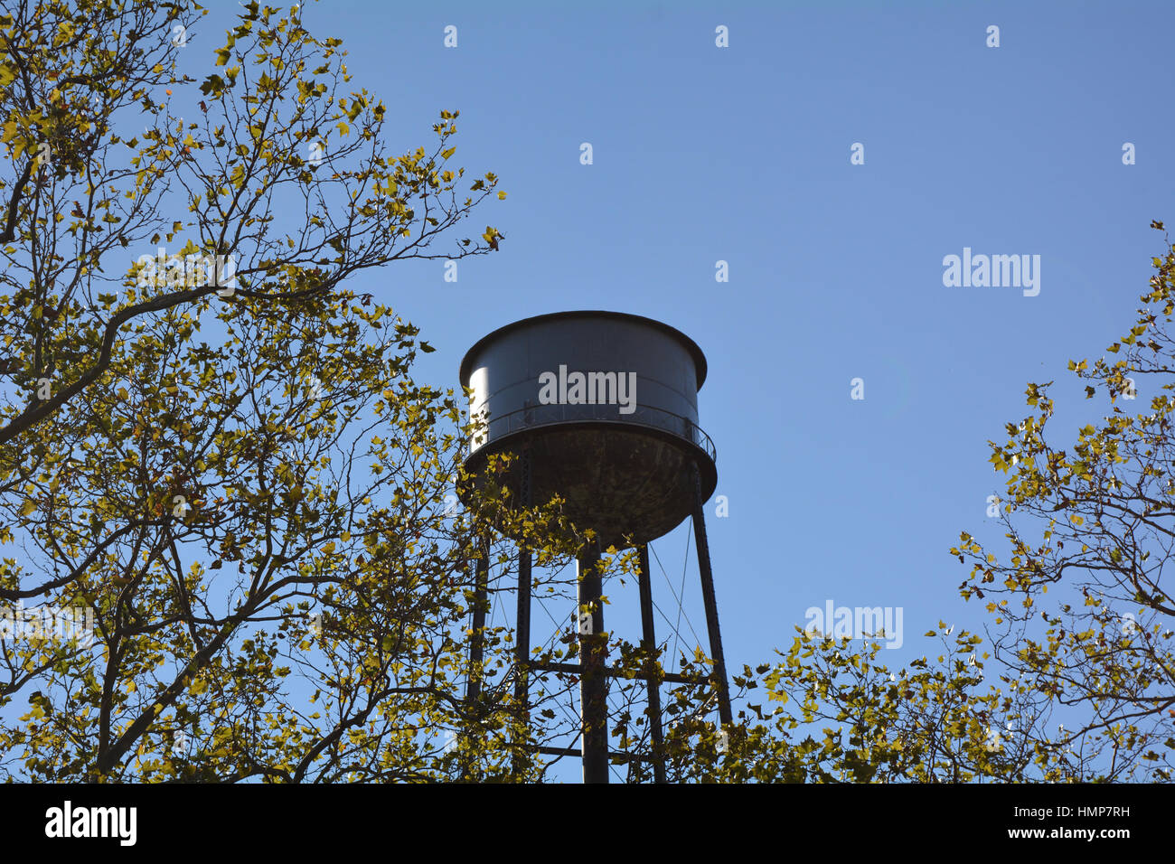 Water Tower in Brooklyn Stock Photo - Alamy