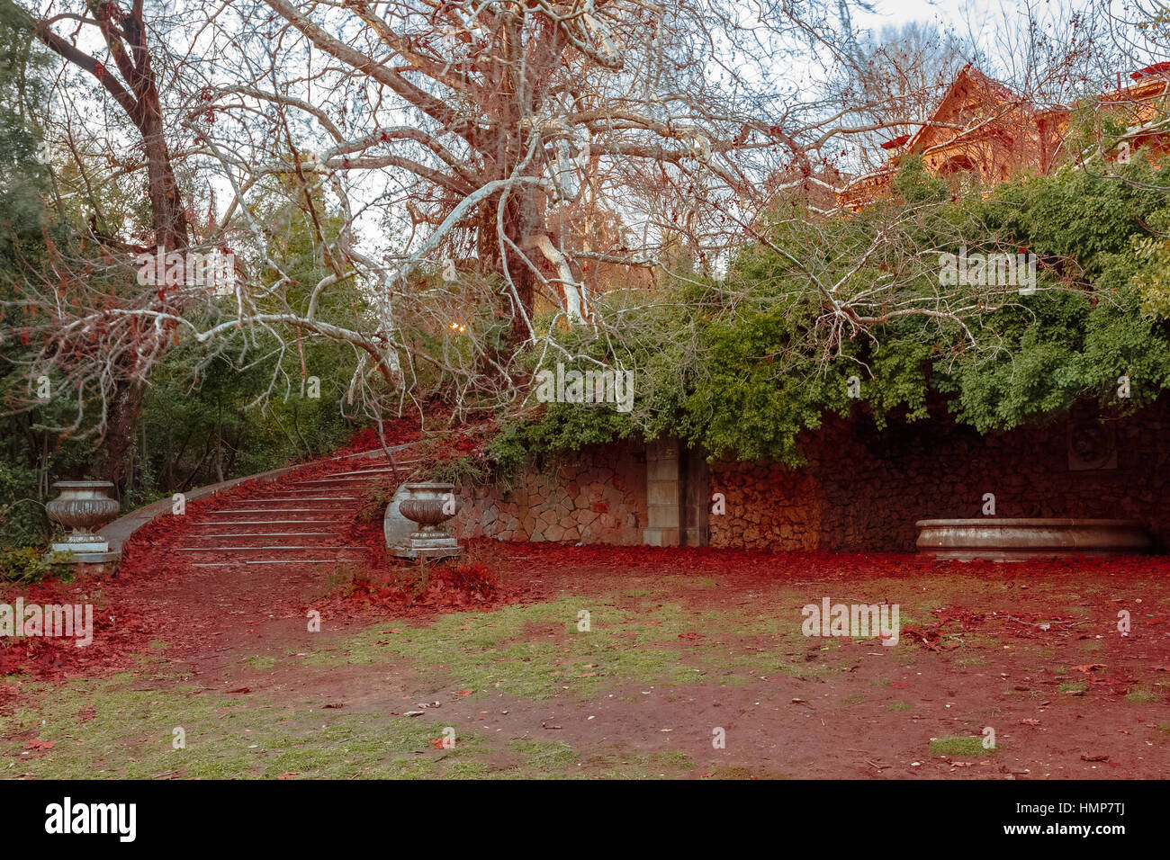 Tatoi Palace ruins in Greece, the summer palace and 10,000 acre estate ...