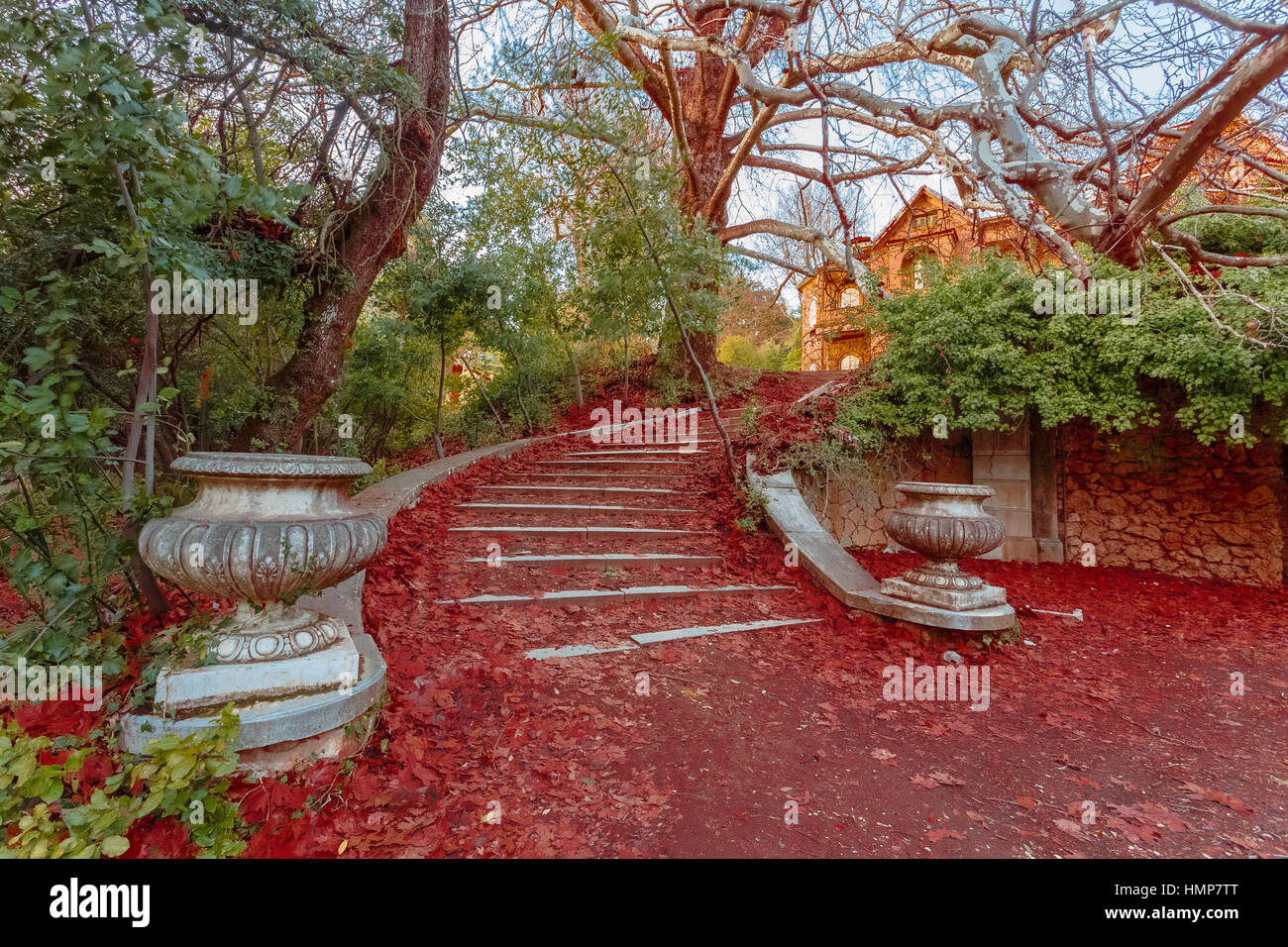 Tatoi Palace ruins in Greece, the summer palace and 10,000 acre estate ...