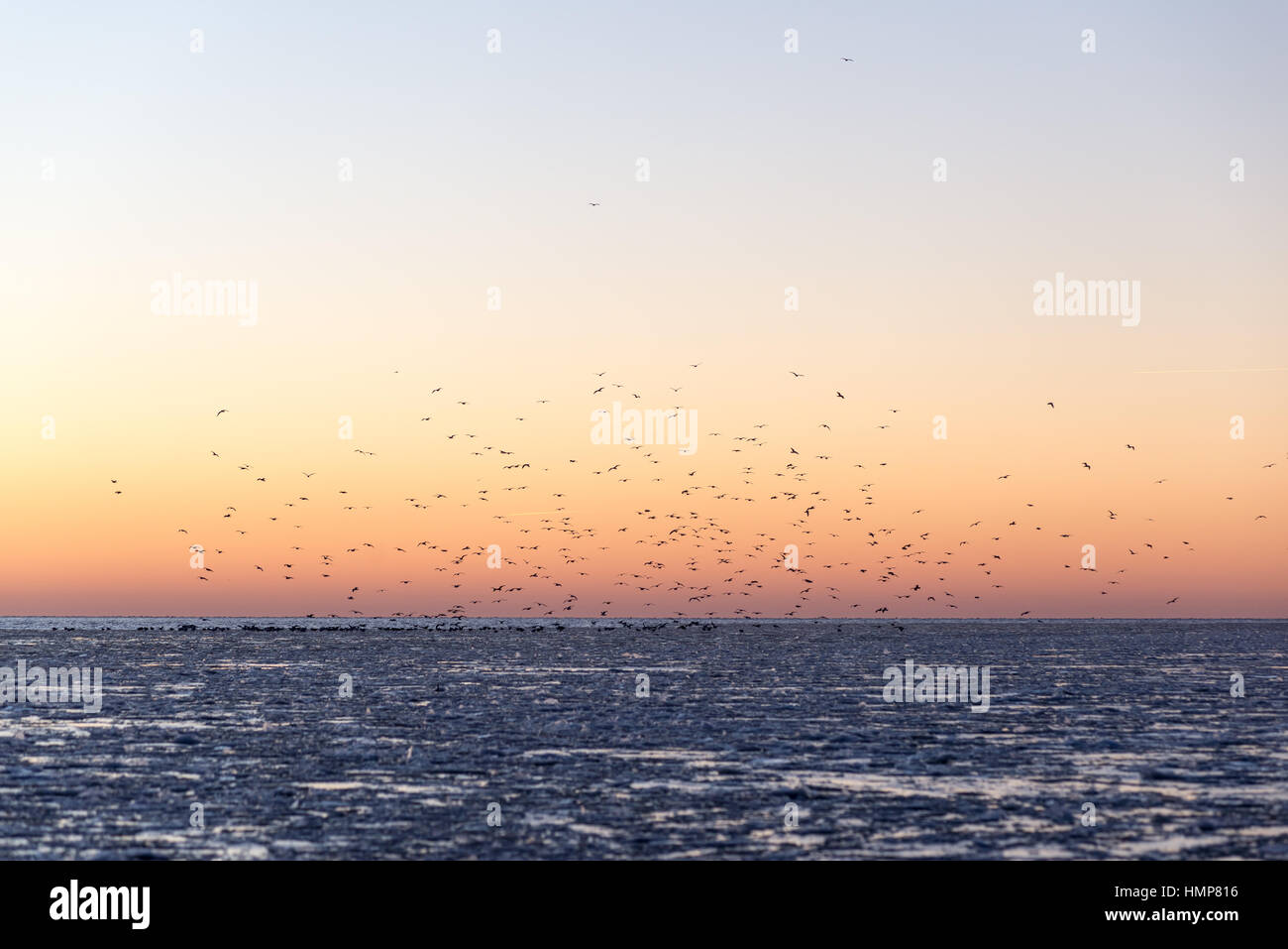 sunset over frozen sea with ice blocks and dramatic colorful sky Stock ...