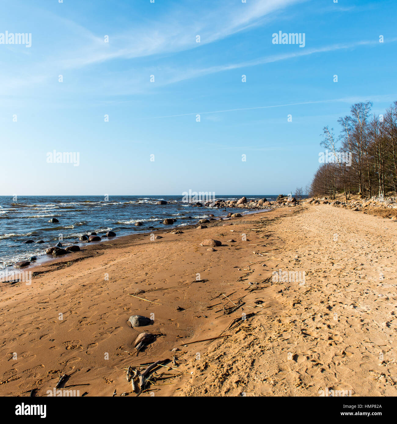 Shoreline of Baltic sea beach with rocks and sand dunes under clouds ...