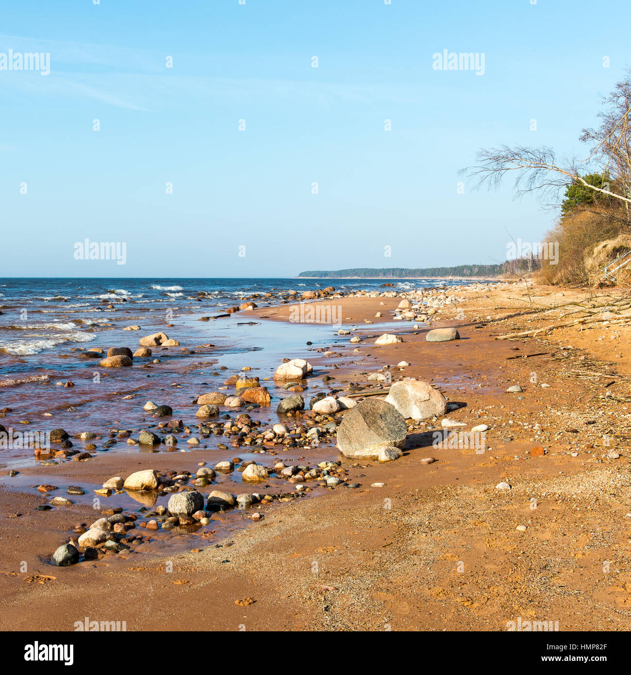 Shoreline of Baltic sea beach with rocks and sand dunes under clouds ...