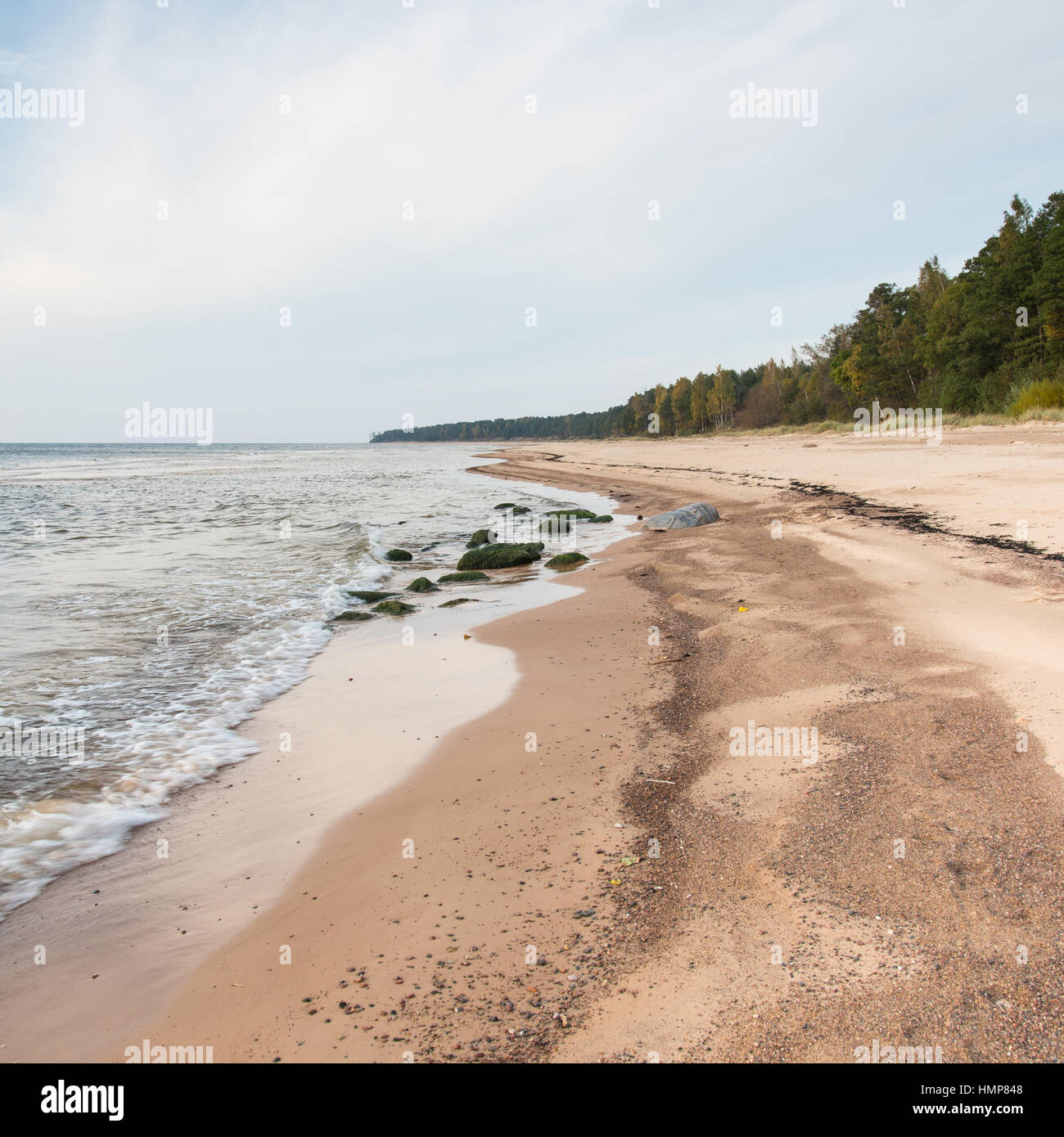 Shoreline of Baltic sea beach with rocks and sand dunes under clouds ...