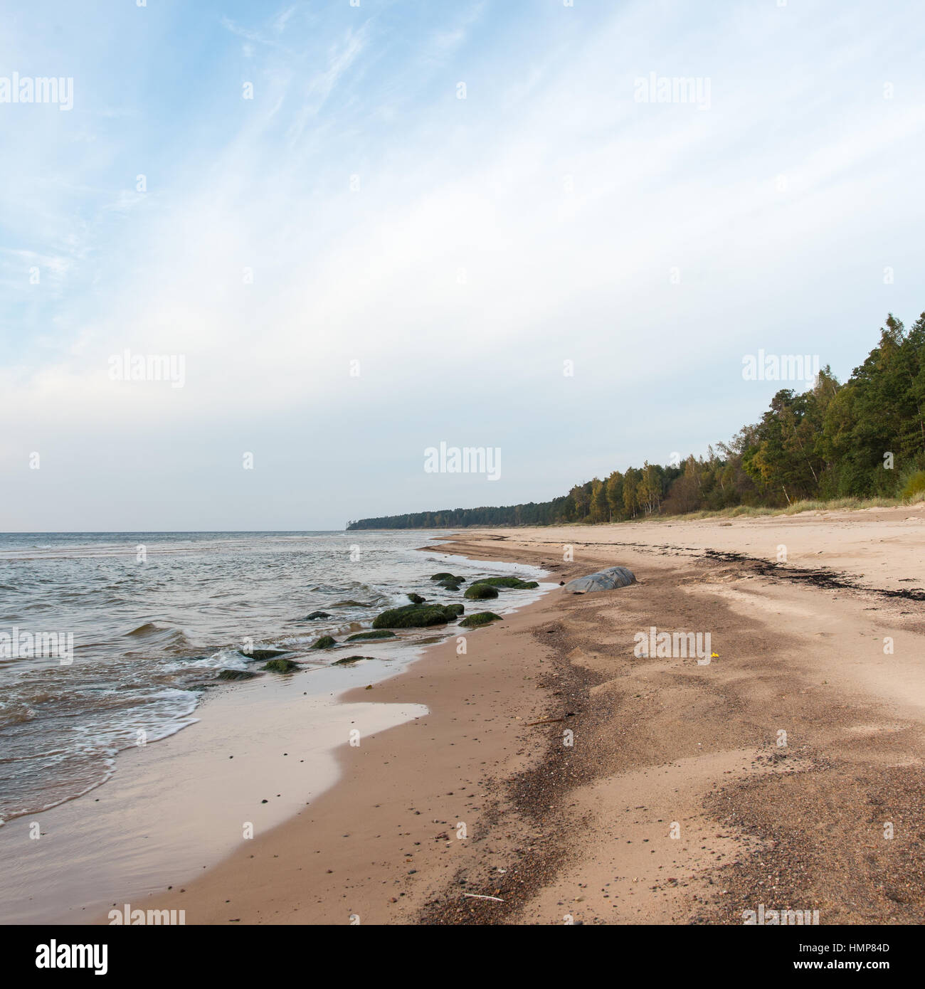 Shoreline of Baltic sea beach with rocks and sand dunes under clouds ...