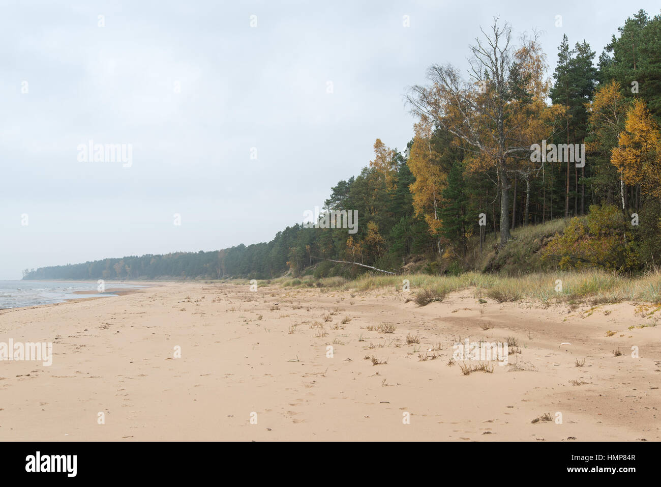 Shoreline of Baltic sea beach with rocks and sand dunes under clouds ...