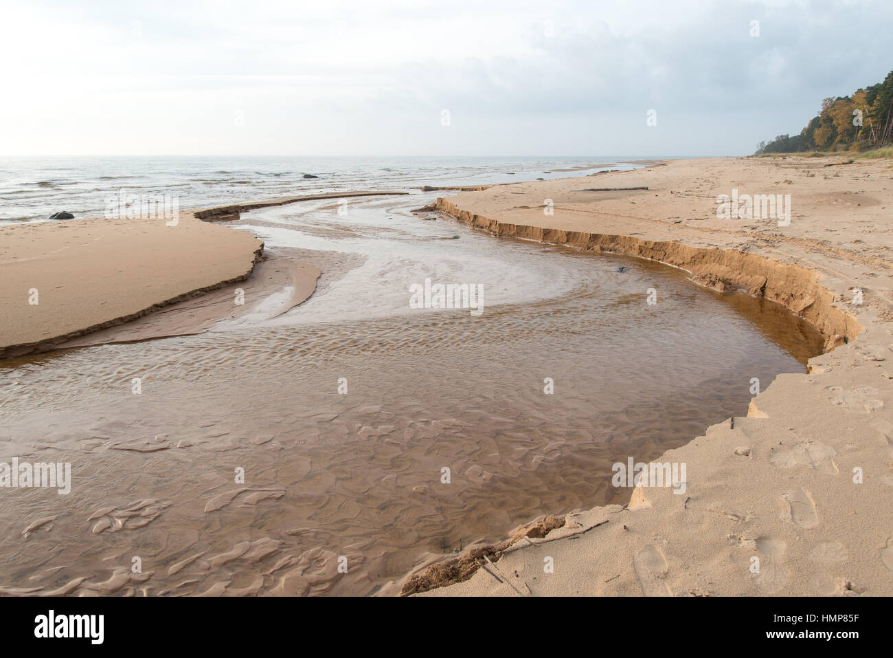 Shoreline of Baltic sea beach with rocks and sand dunes under clouds ...