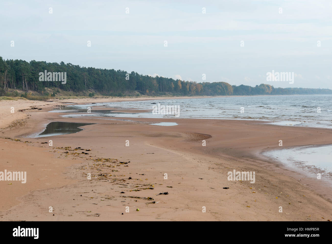 Shoreline of Baltic sea beach with rocks and sand dunes under clouds ...