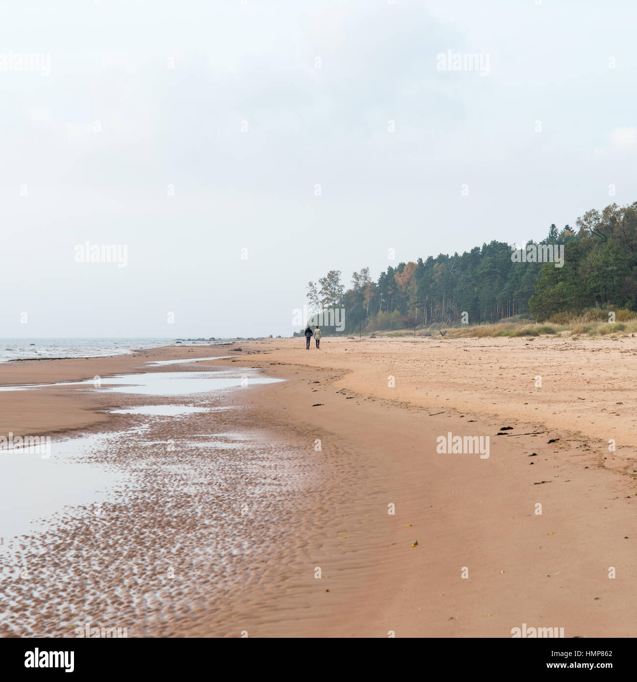 Shoreline of Baltic sea beach with rocks and sand dunes under clouds ...