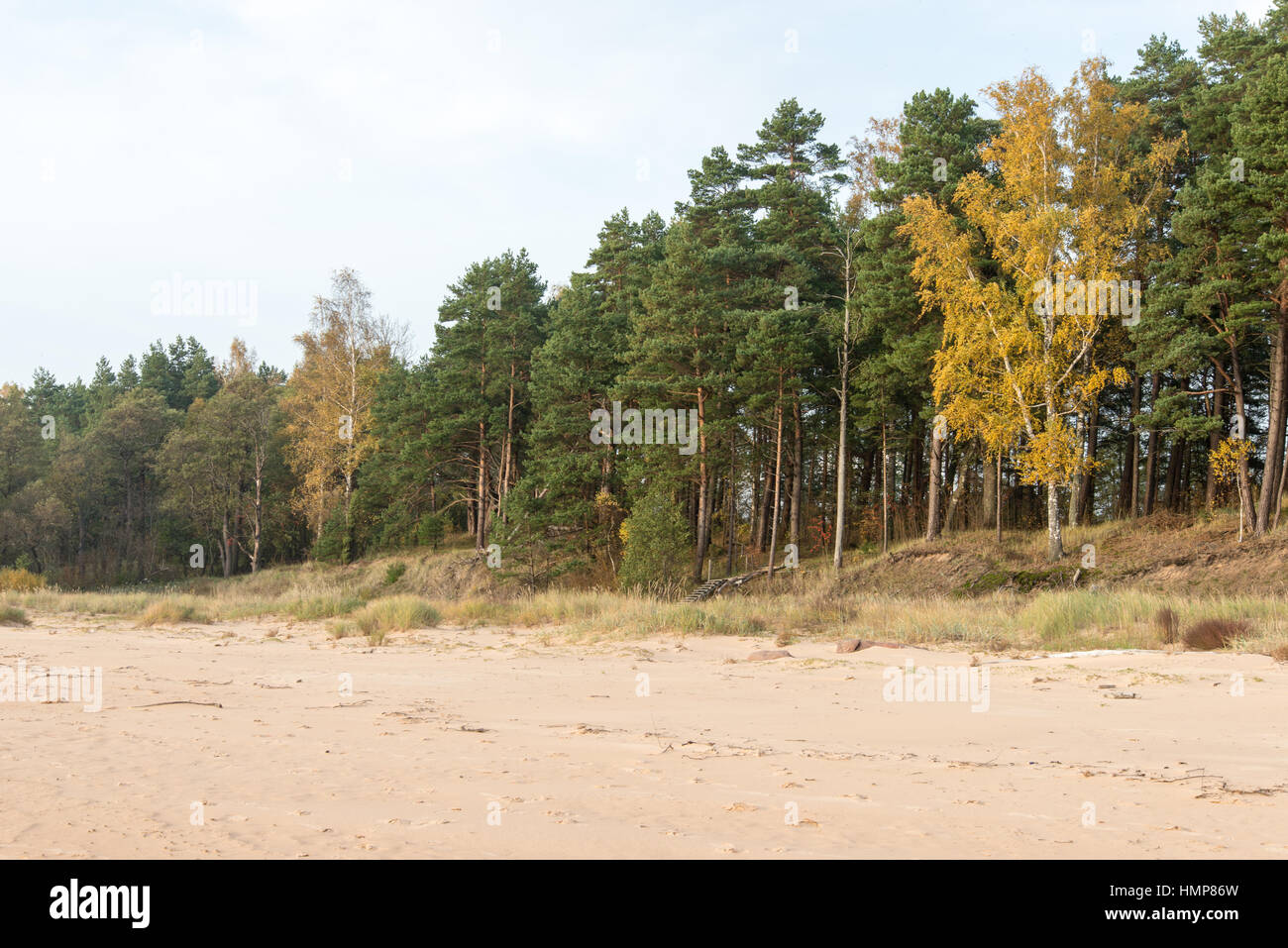 Shoreline of Baltic sea beach with rocks and sand dunes under clouds ...