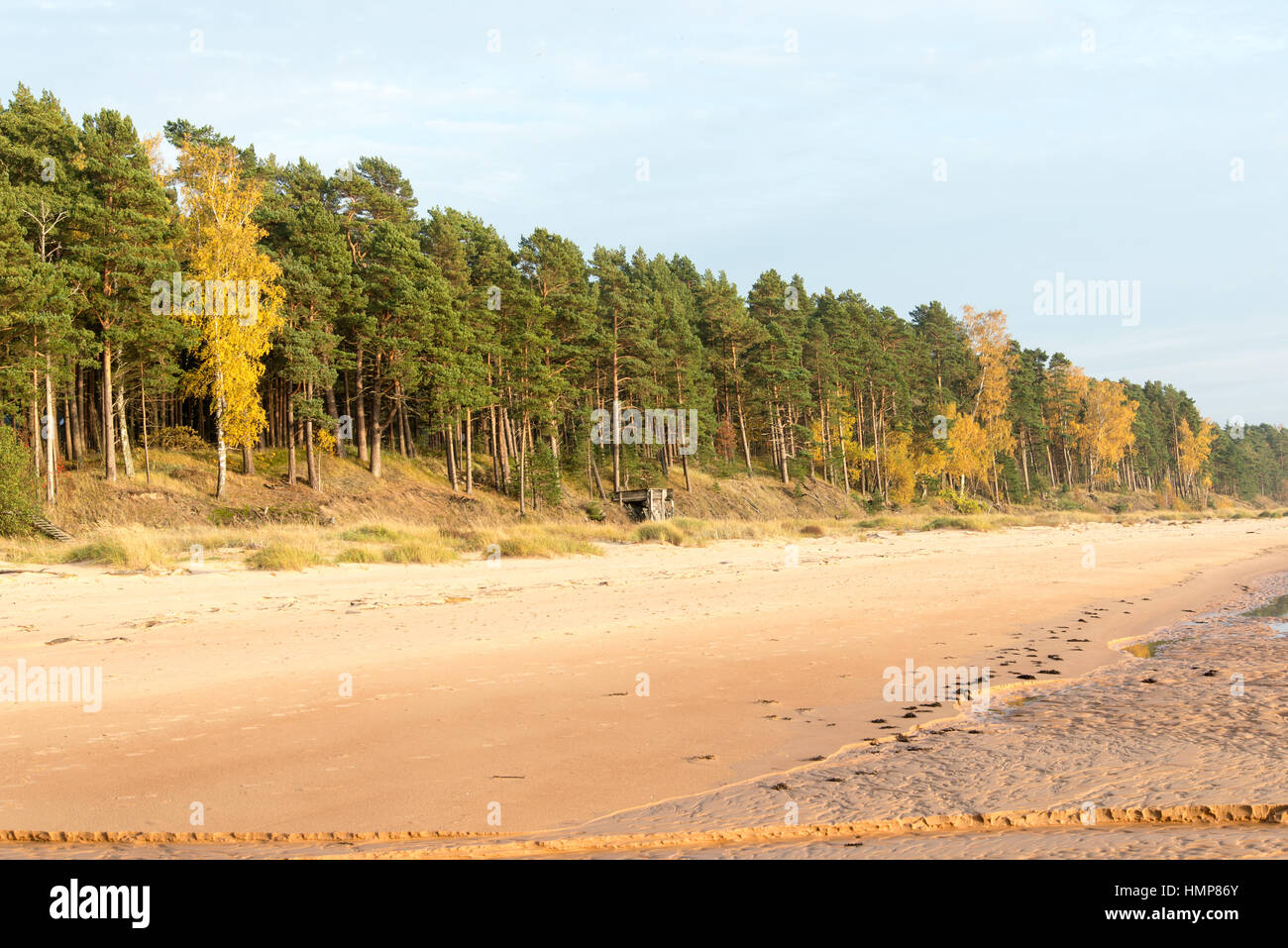 Shoreline of Baltic sea beach with rocks and sand dunes under clouds ...