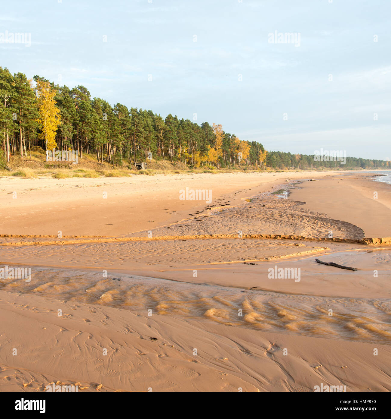 Shoreline of Baltic sea beach with rocks and sand dunes under clouds ...