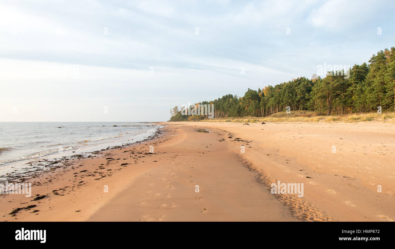 Shoreline of Baltic sea beach with rocks and sand dunes under clouds ...