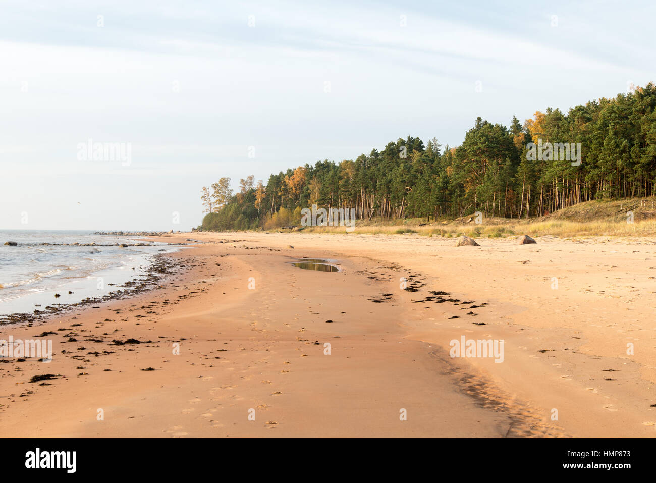 Shoreline of Baltic sea beach with rocks and sand dunes under clouds ...