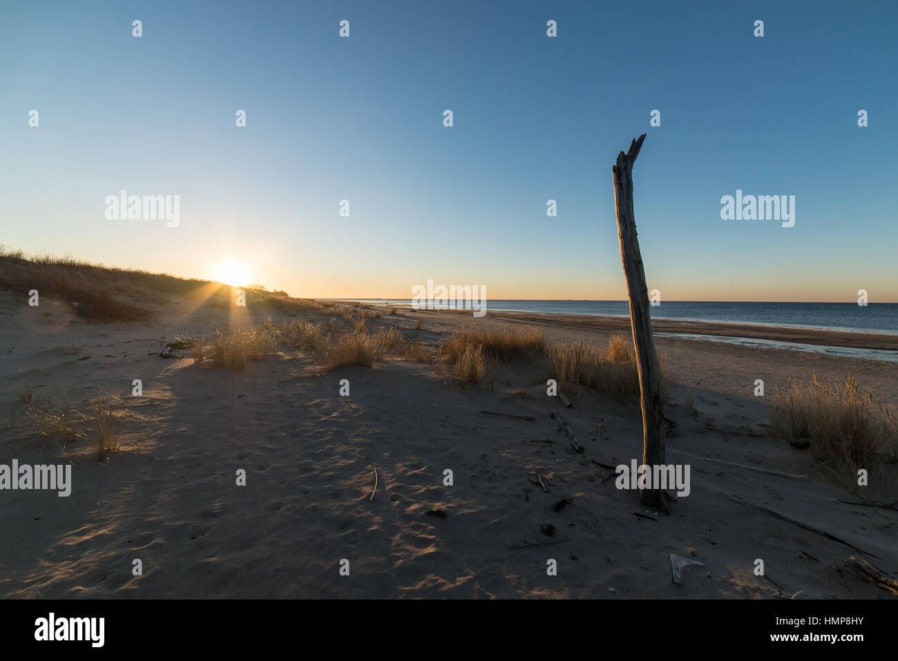 frozen beach near shipyard and sea port with rays of sun and ...