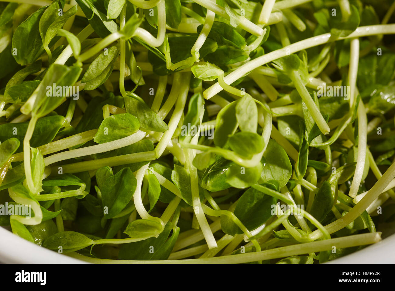 Pea sprouts hi-res stock photography and images - Alamy