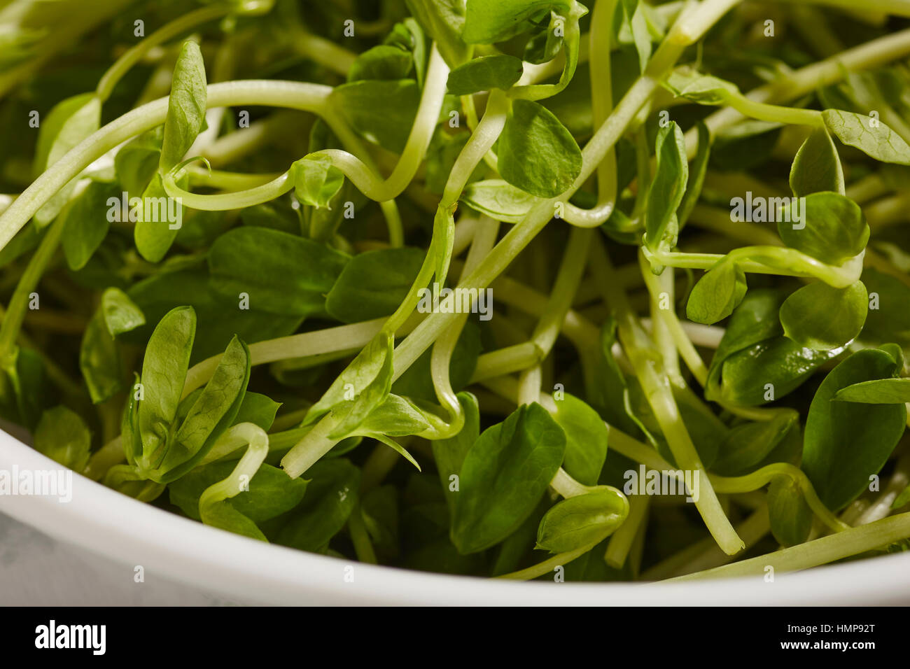 Sprouts shoots hi-res stock photography and images - Alamy