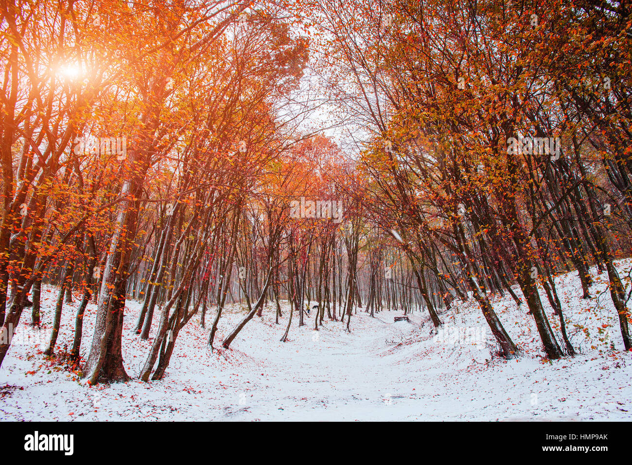 first days of winter Stock Photo - Alamy