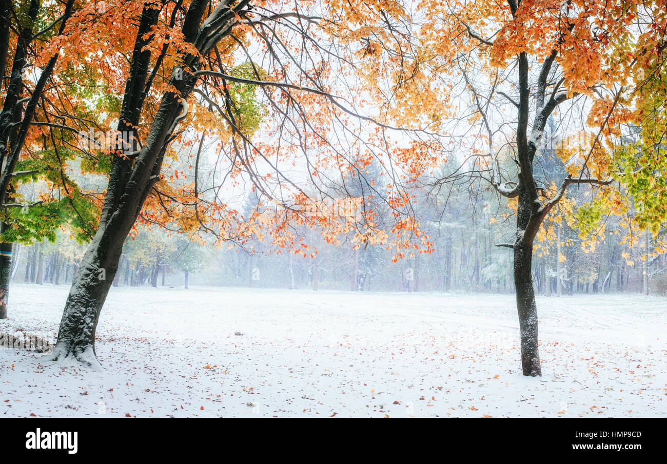 first days of winter Stock Photo - Alamy