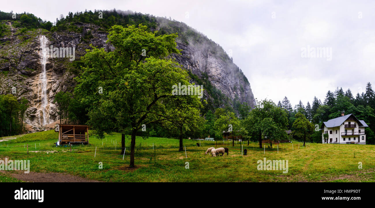 farm in the Alps Stock Photo - Alamy