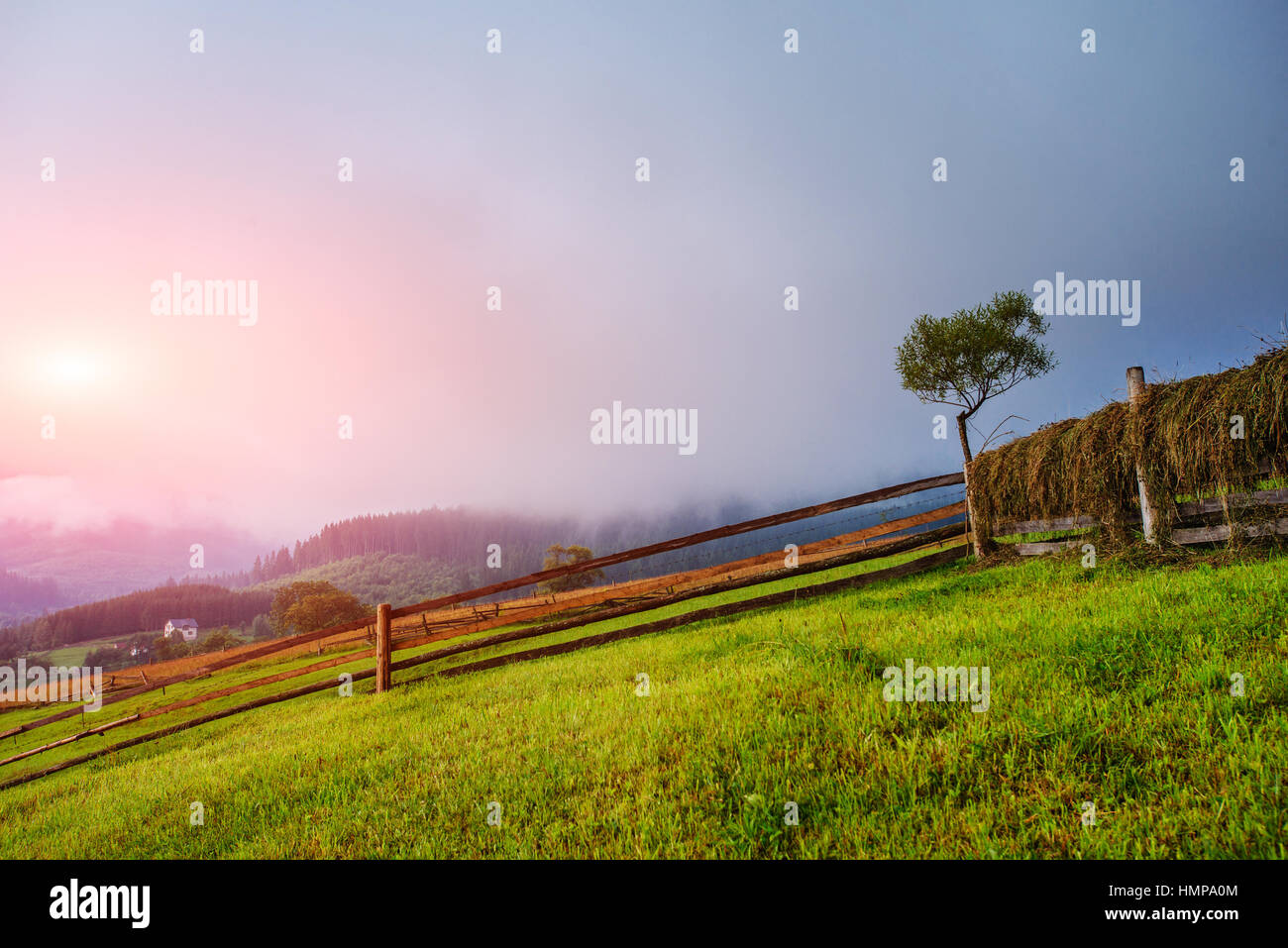 Colorful summer landscape Stock Photo - Alamy