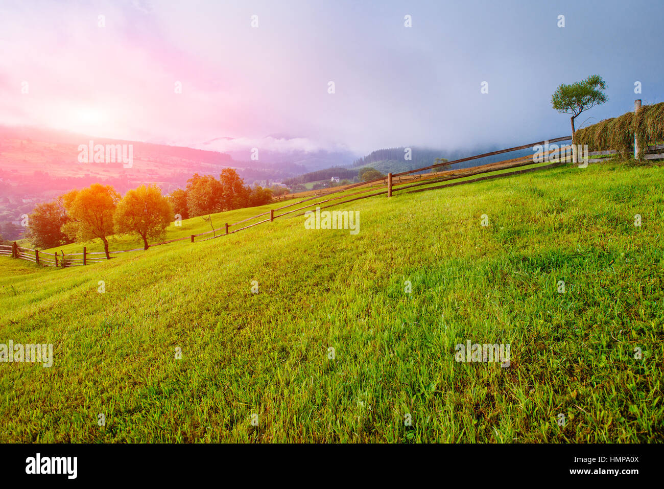 Colorful summer landscape Stock Photo - Alamy