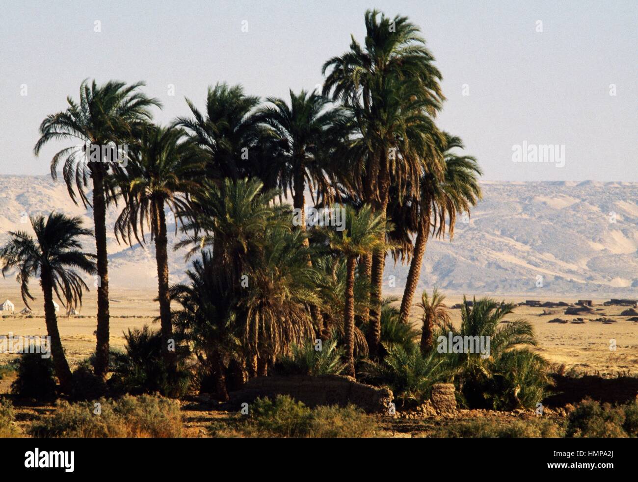 Dush egypt hi-res stock photography and images - Alamy