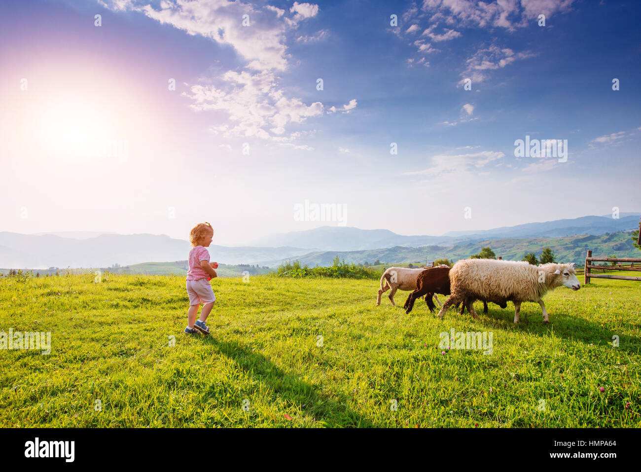 Child and sheep hi-res stock photography and images - Alamy