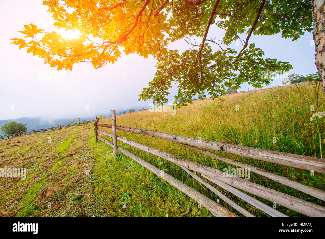 Colorful summer landscape Stock Photo - Alamy