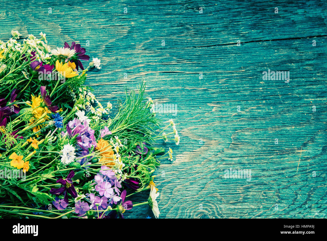 Summer flowers mock up Stock Photo - Alamy