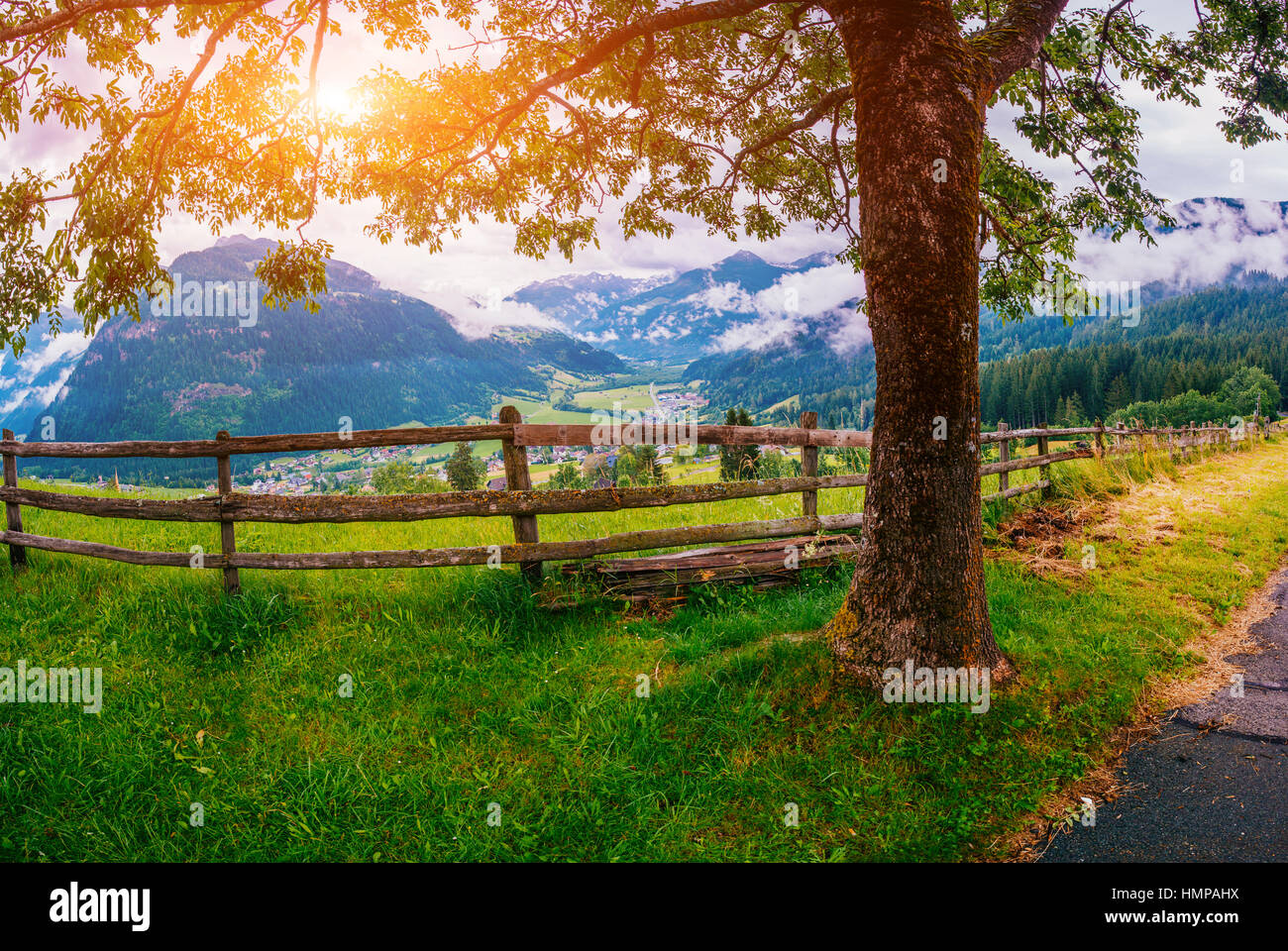 Spring green forest magnificent sunrise hi-res stock photography and ...