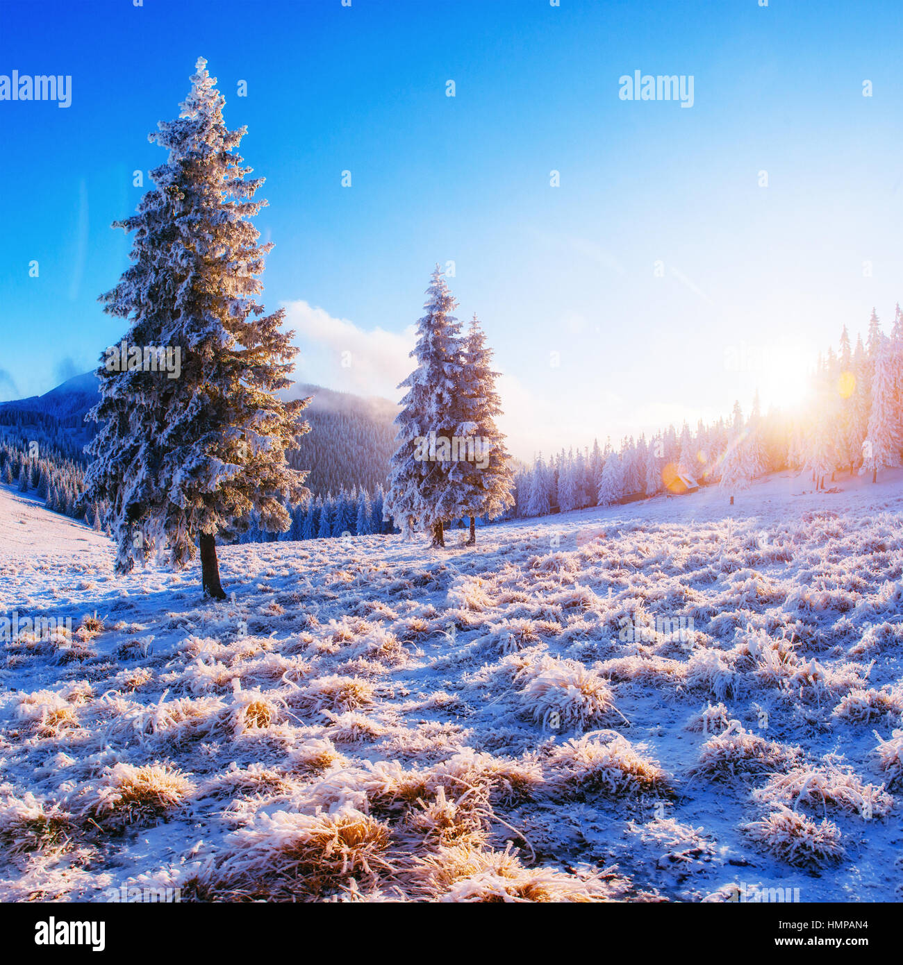 fabulous winter landscape Stock Photo - Alamy