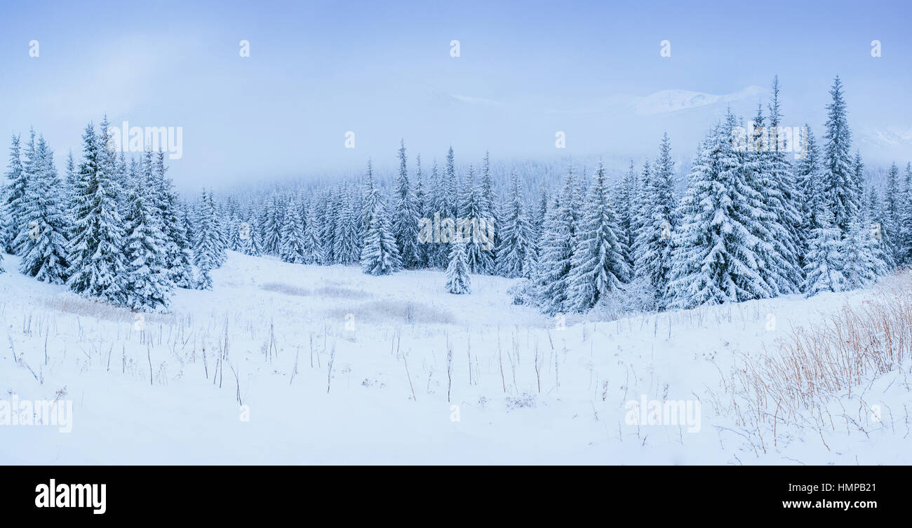 wonderful winter landscape Stock Photo - Alamy