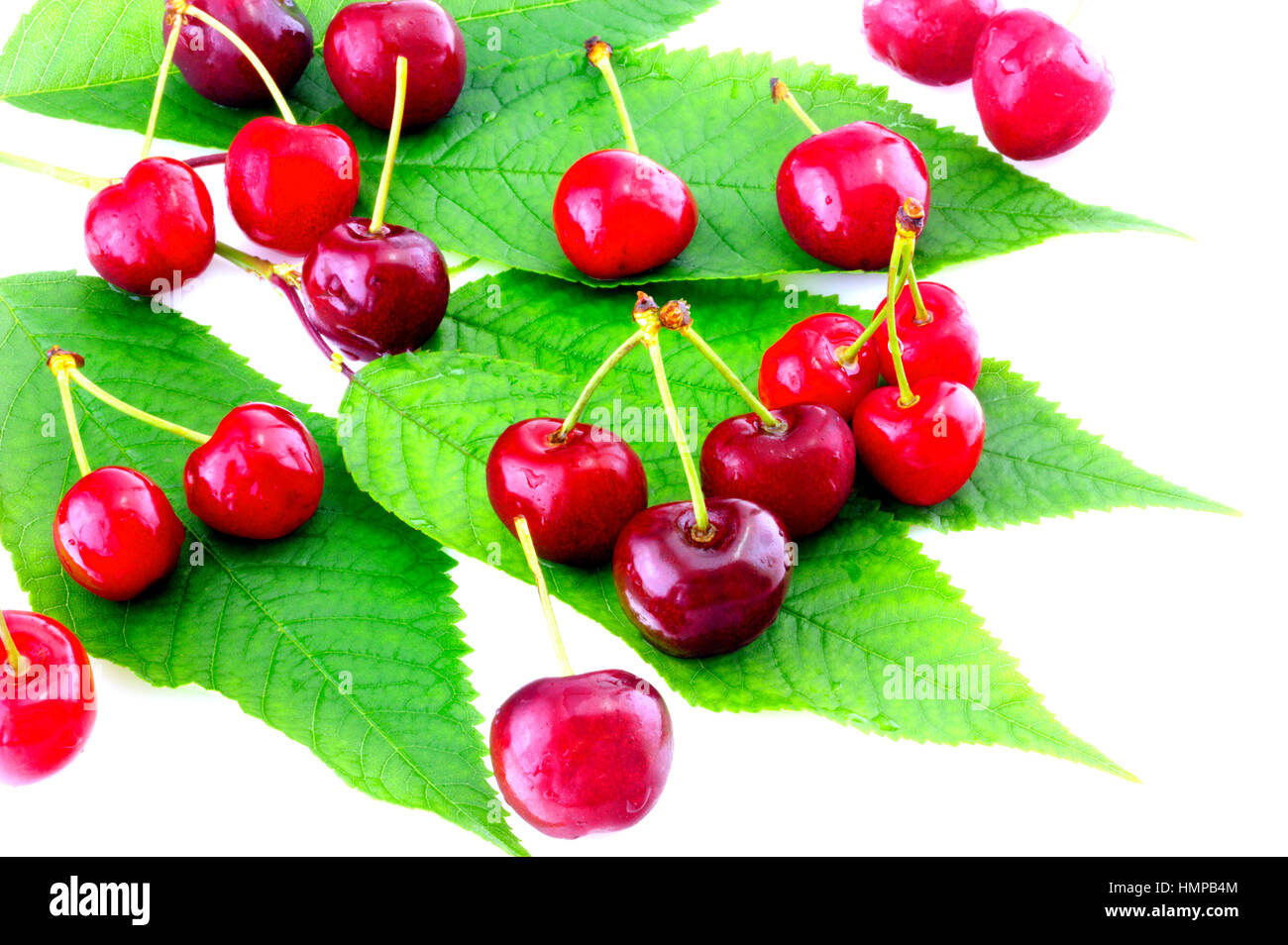 Cherries isolated on white background Stock Photo - Alamy